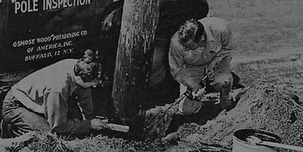 Osmose Utility Services Company | Safeguarding Utility Infrastructure